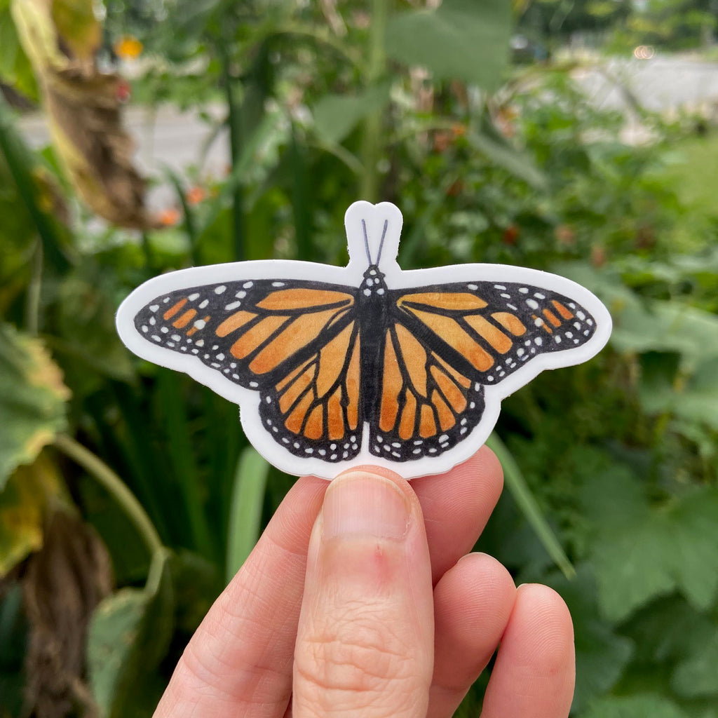 Monarch Sticker – Cat People Press